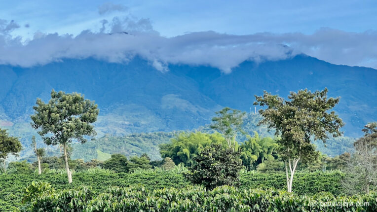 Visitar una finca cafetera en Colombia - Beaviajera by Beatriz Lagos